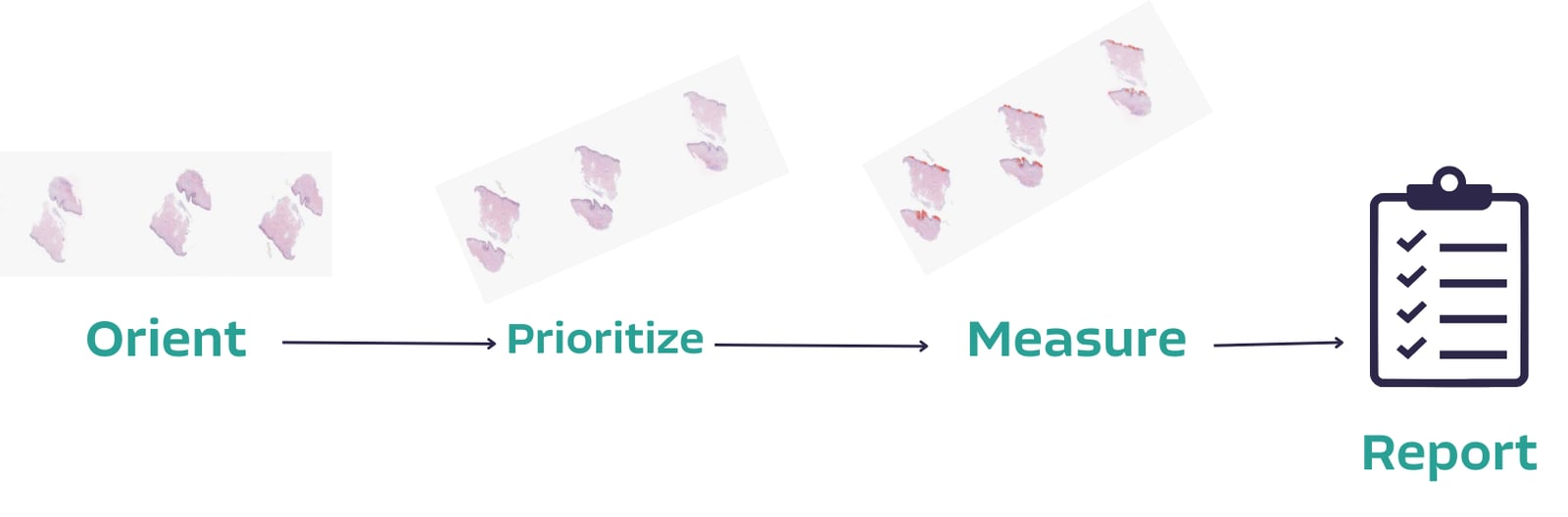 Developing PathAssist Derm: How PathAI is Poised to Disrupt Dermatopathology Research